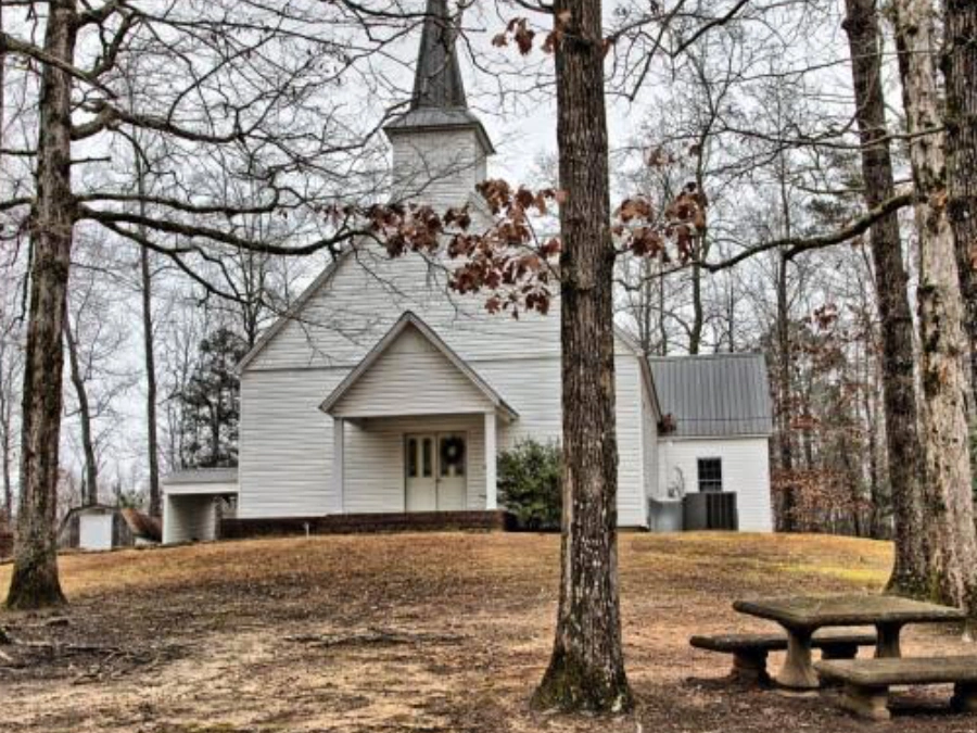 Butterfly Effect | Criminal Case Fanon Wiki | Fandom