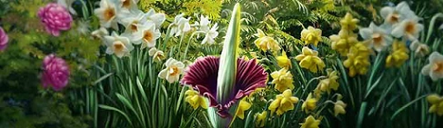 Death Before Flowers | Criminal Case Official Fan-Fiction Wiki | Fandom