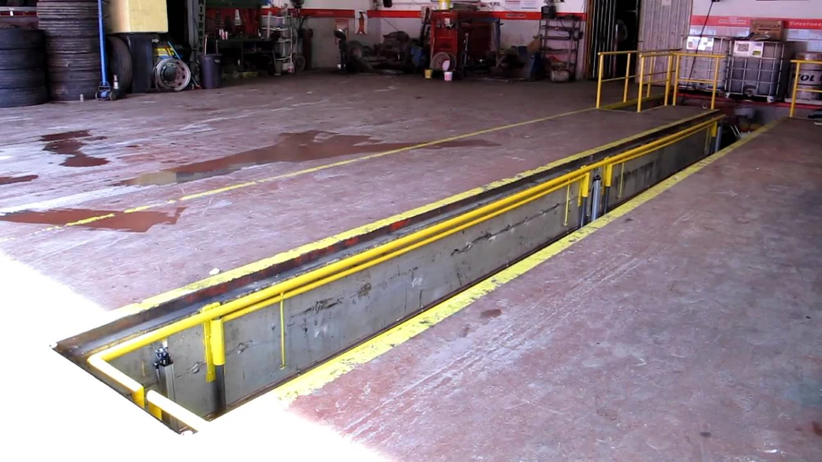 Human Rug | Criminal Case Official Fan-Fiction Wiki | Fandom