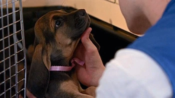 The Apprenticeship | Criminal Minds Wiki | Fandom