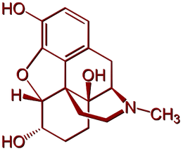 Dilaudid | Criminal Minds Wiki | Fandom