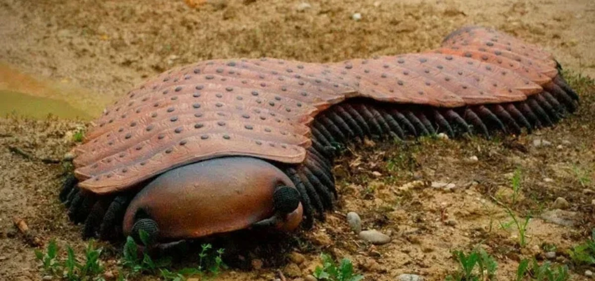 The Insects | Crimson Lullaby Wiki | Fandom