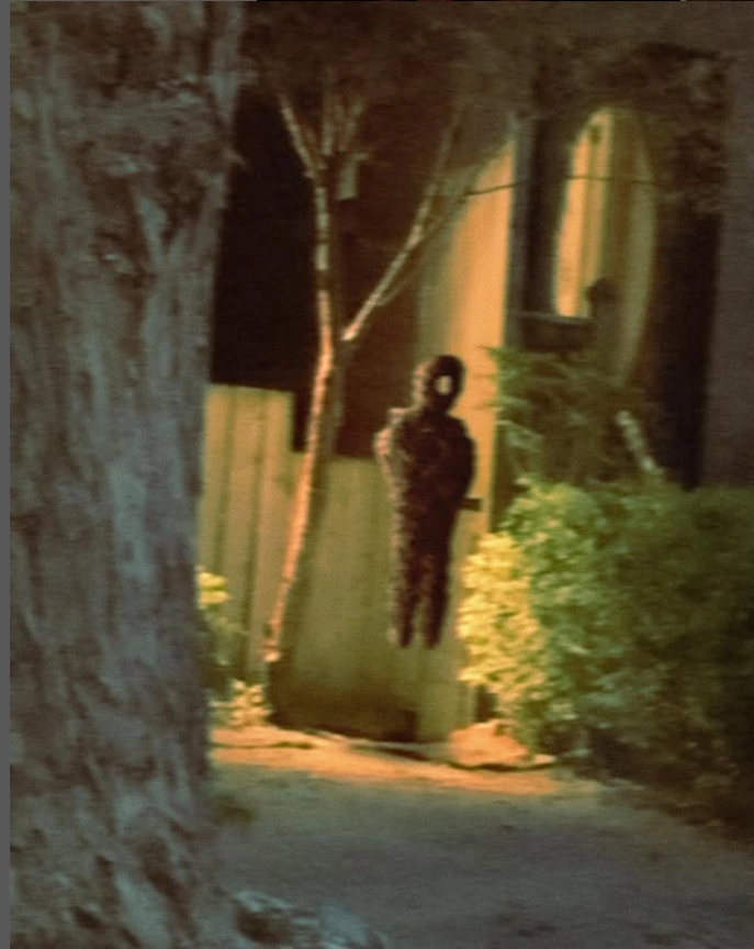 Visitation Crimson Lullaby Wiki Fandom