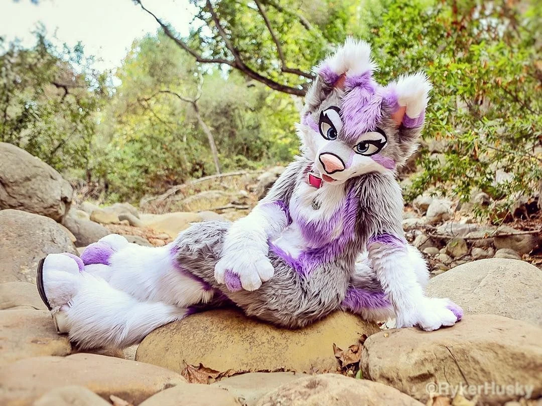 Furry | Cringe Wiki | Fandom