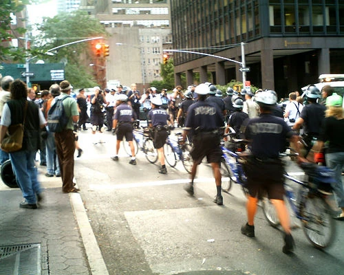 2004 | Critical Mass | Fandom