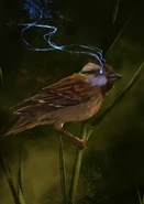 Frumpkin | Critical Role Wiki | Fandom