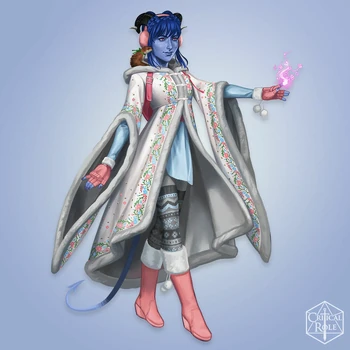 User blog:Magpiemolly/Campaign 2: Mighty Nein Outfits | Critical Role ...