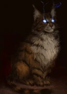 Frumpkin | Critical Role Wiki | Fandom