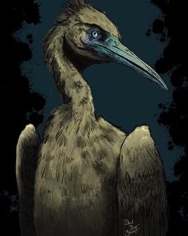 Gargo | Critical Role Wiki | Fandom