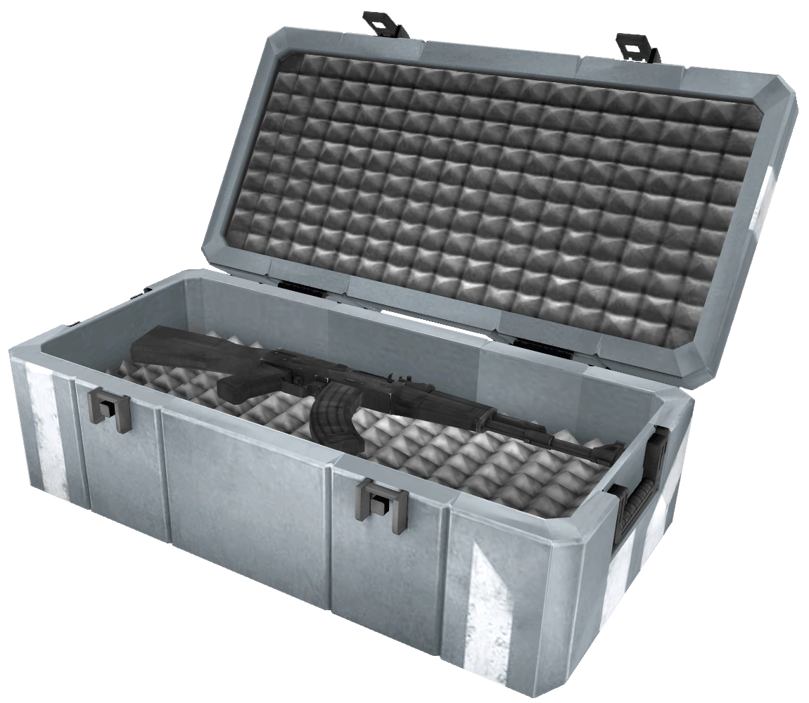 Weapon Case | Critical Strike Portable Wiki | Fandom