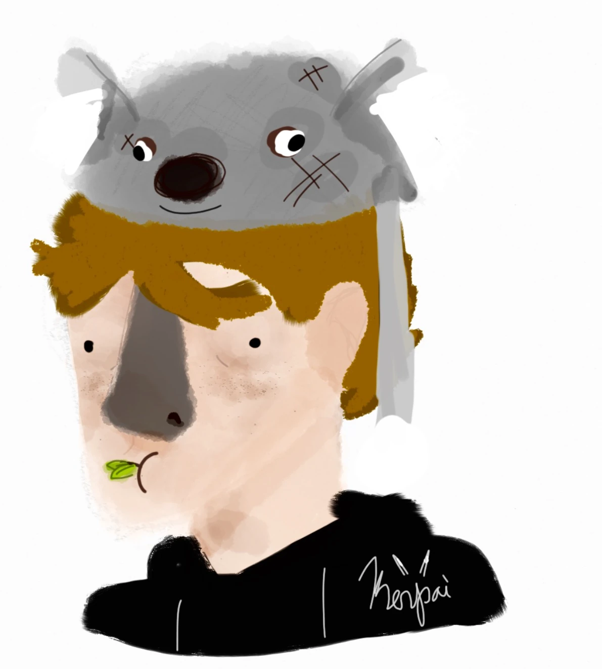 Koala | Critter Skype Chat Wikia | Fandom