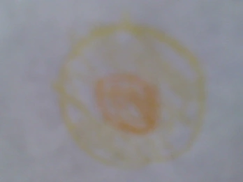 Orbs | Critter Wiki | Fandom