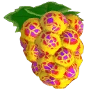 Strange Yellow Berry | Critter Cove Wiki | Fandom