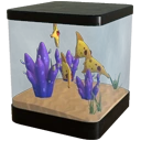 Pizza Fish Aquarium | Critter Cove Wiki | Fandom