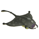 Racer Ray | Critter Cove Wiki | Fandom