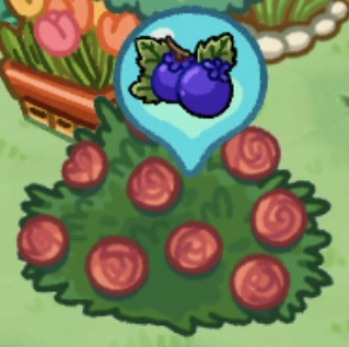 Foraging | Critter Coast Wiki | Fandom