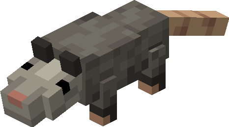 Opossum | Critters N' Crawlers Wiki | Fandom