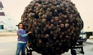 Crite groups | Critters Wiki | Fandom