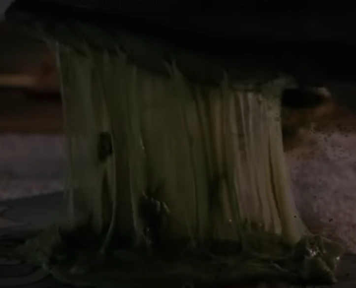 Cindy's Crite | Critters Wiki | Fandom