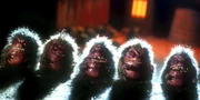 Crites | Critters Wiki | Fandom