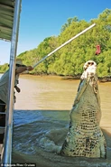 Brutus | Crocodile Wiki | Fandom