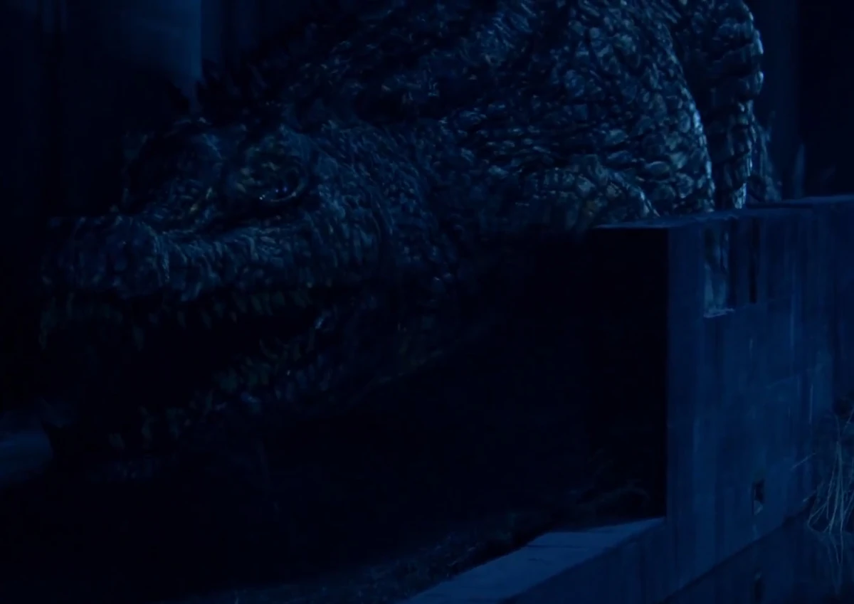 Hybrid Lake Placid Crocodile | Crocodiles Wiki | Fandom