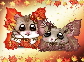 Autumn Fairy | Cromimi Wiki | Fandom