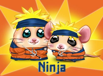 Ninja | Cromimi Wiki | Fandom
