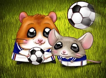 Footballer | Cromimi Wiki | Fandom