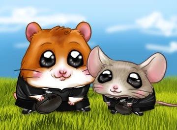 New-Zealander Rugby | Cromimi Wiki | Fandom