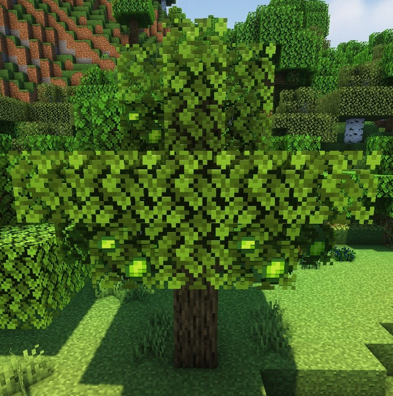 Lime | Croptopia Wiki | Fandom