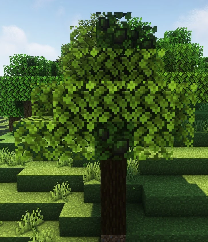 Avocado | Croptopia Wiki | Fandom