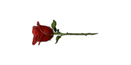 Rose Knife | Crossfire Wiki | Fandom