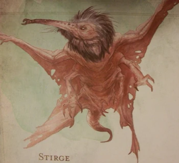 Stirge | CrossGoersDnD Wiki | Fandom