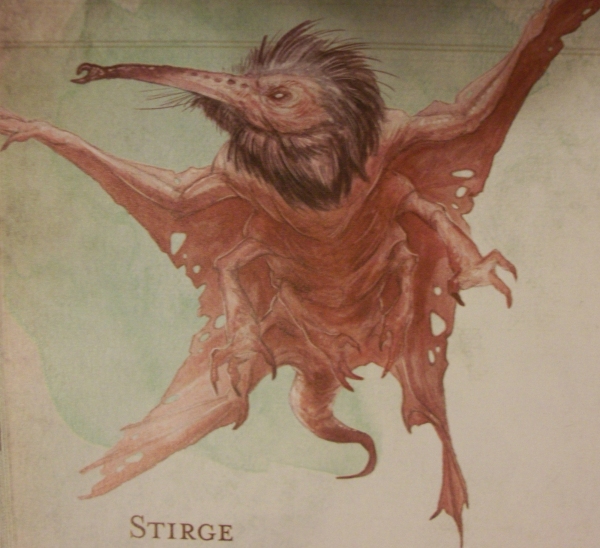 Stirge | CrossGoersDnD Wiki | Fandom