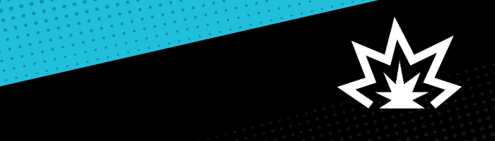 Category:Burst | Crossover Arena Wiki | Fandom