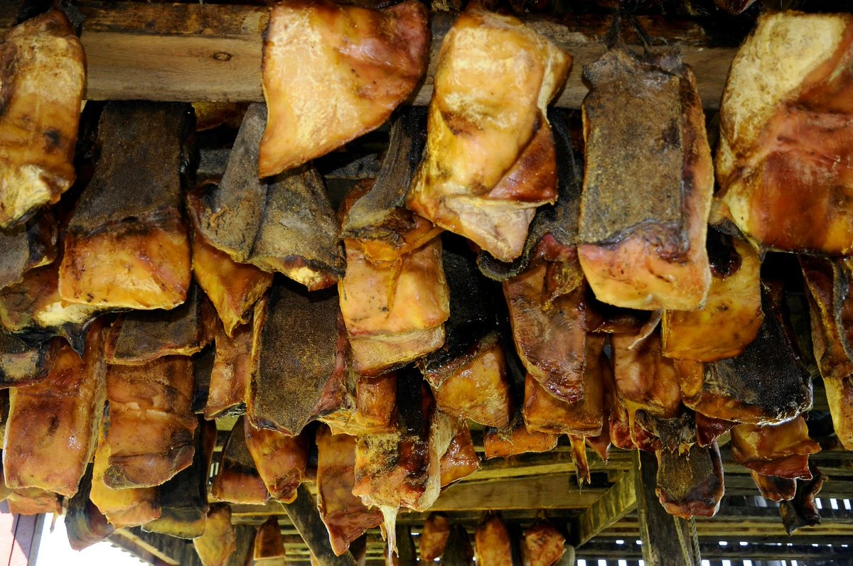 Hákarl | Crossover War Heroes Wiki | Fandom