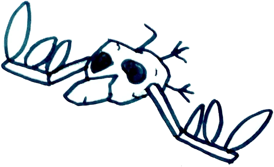 Skeleton Goonie | Crossovers and Fan Episodes Wiki 2.0 Wiki | Fandom