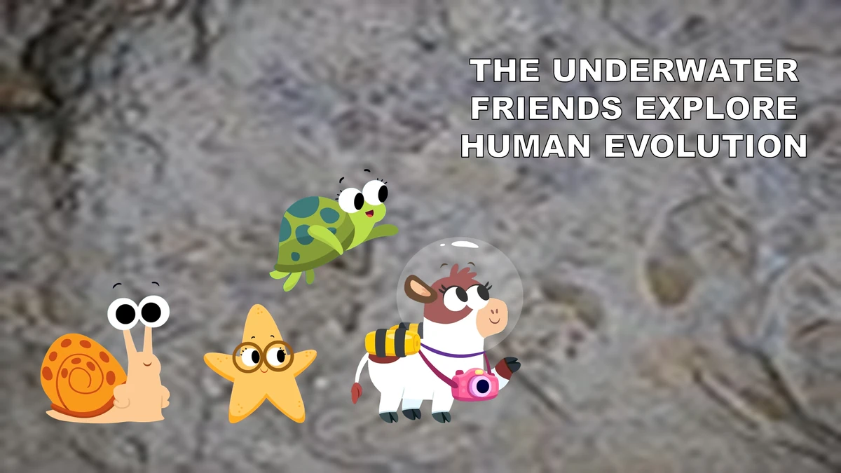 The Underwater Friends Explore Human Evolution | Crossovers and Fan ...