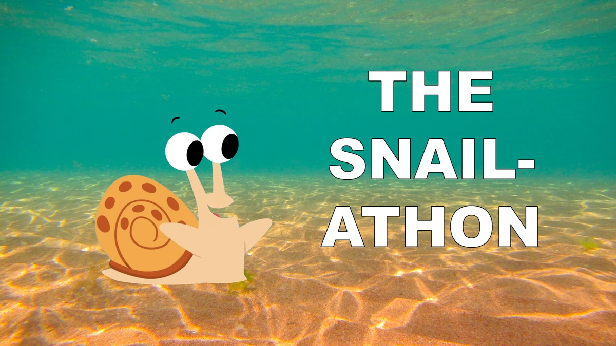 Snail-athon | Crossovers and Fan Episodes Wiki | Fandom