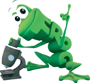 Frog (WordWorld) | Crossovers and Fan Episodes Wiki | Fandom