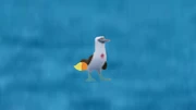 Dora and Boots' Adventures with Little Einsteins: The Blue-Footed Booby ...