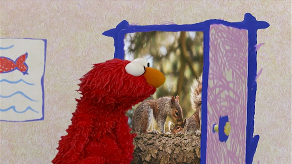 Elmo's World: Squirrels/Gallery | Crossovers and Fan Episodes Wiki | Fandom