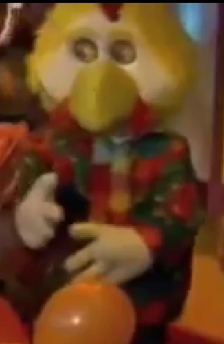 Bagawk “Beach Bird” Roosto | Crossovia Wiki | Fandom