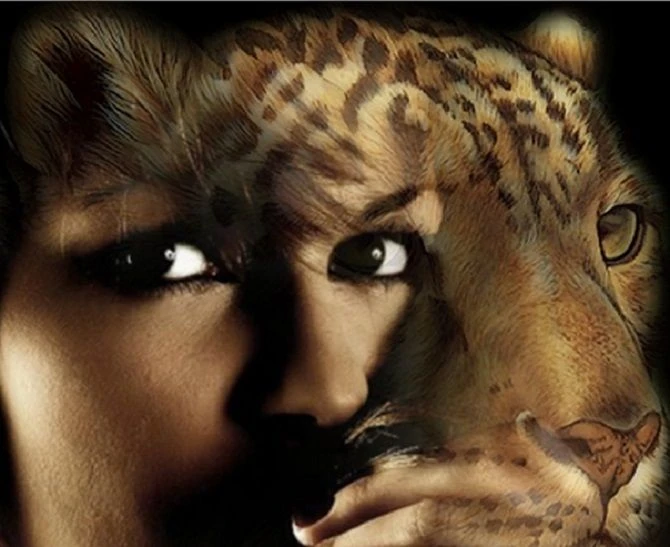 Animagus | Wiki Crossroads | Fandom