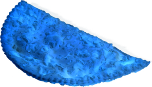 Photo negative чебурек | Crow_creator_studio3000 media Wiki | Fandom