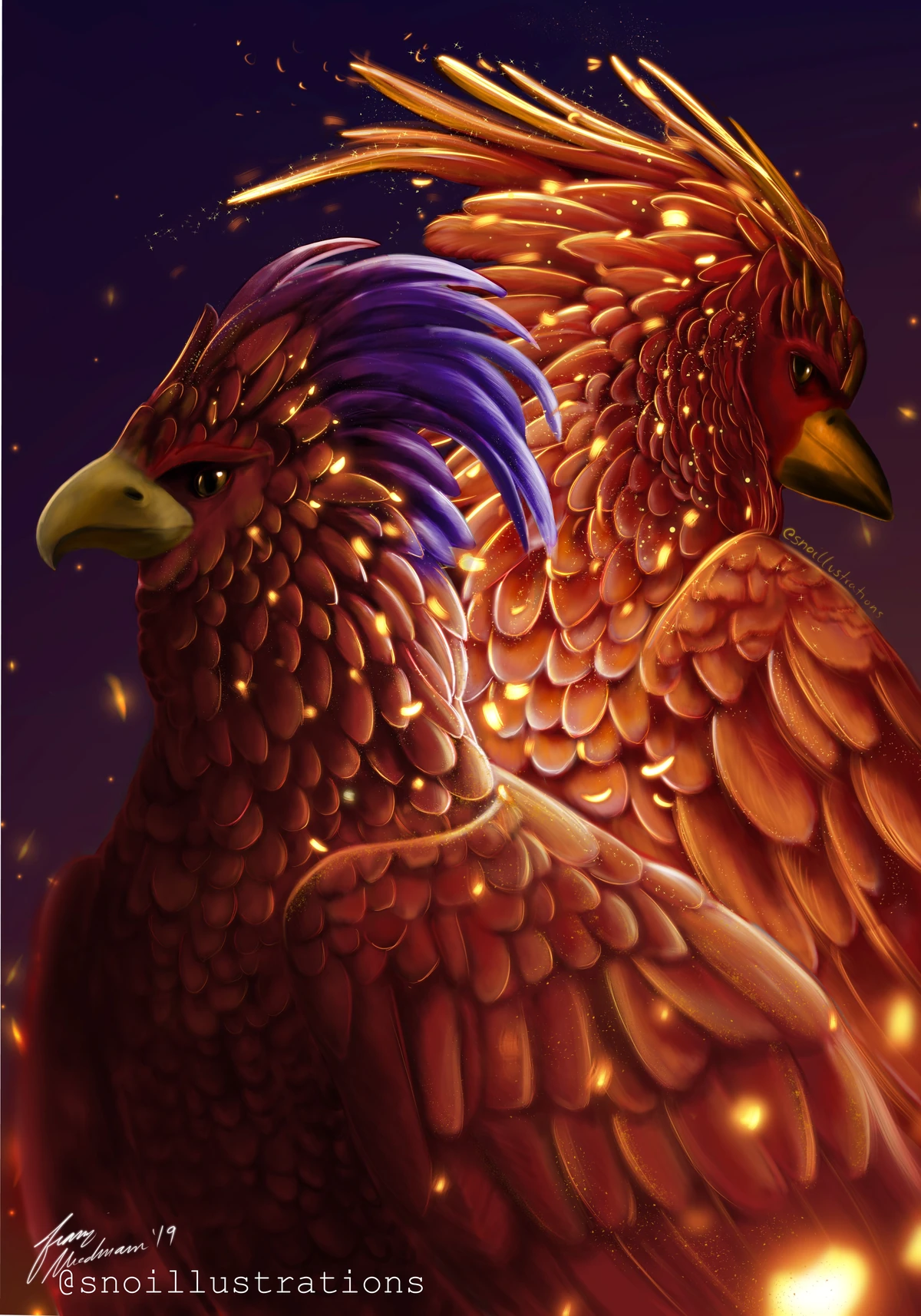 Rex | Crown of Feathers Wiki | Fandom