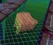 Pig Target | Cruelty Squad Wiki | Fandom