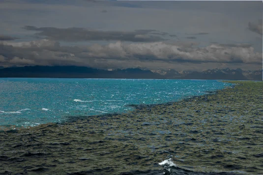 Sea of Bile | Crumbling Giantstep Wiki | Fandom