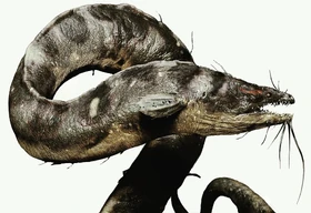 Dominion of the Bog Witch | Crumbling Giantstep Wiki | Fandom